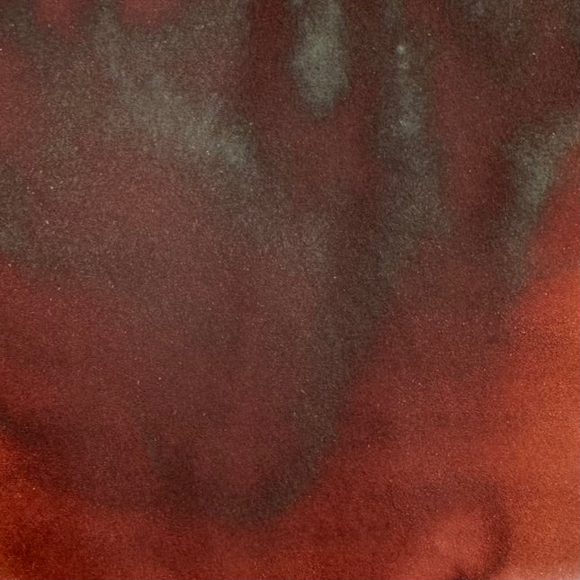 Tinta - Bach – ColorSwatch