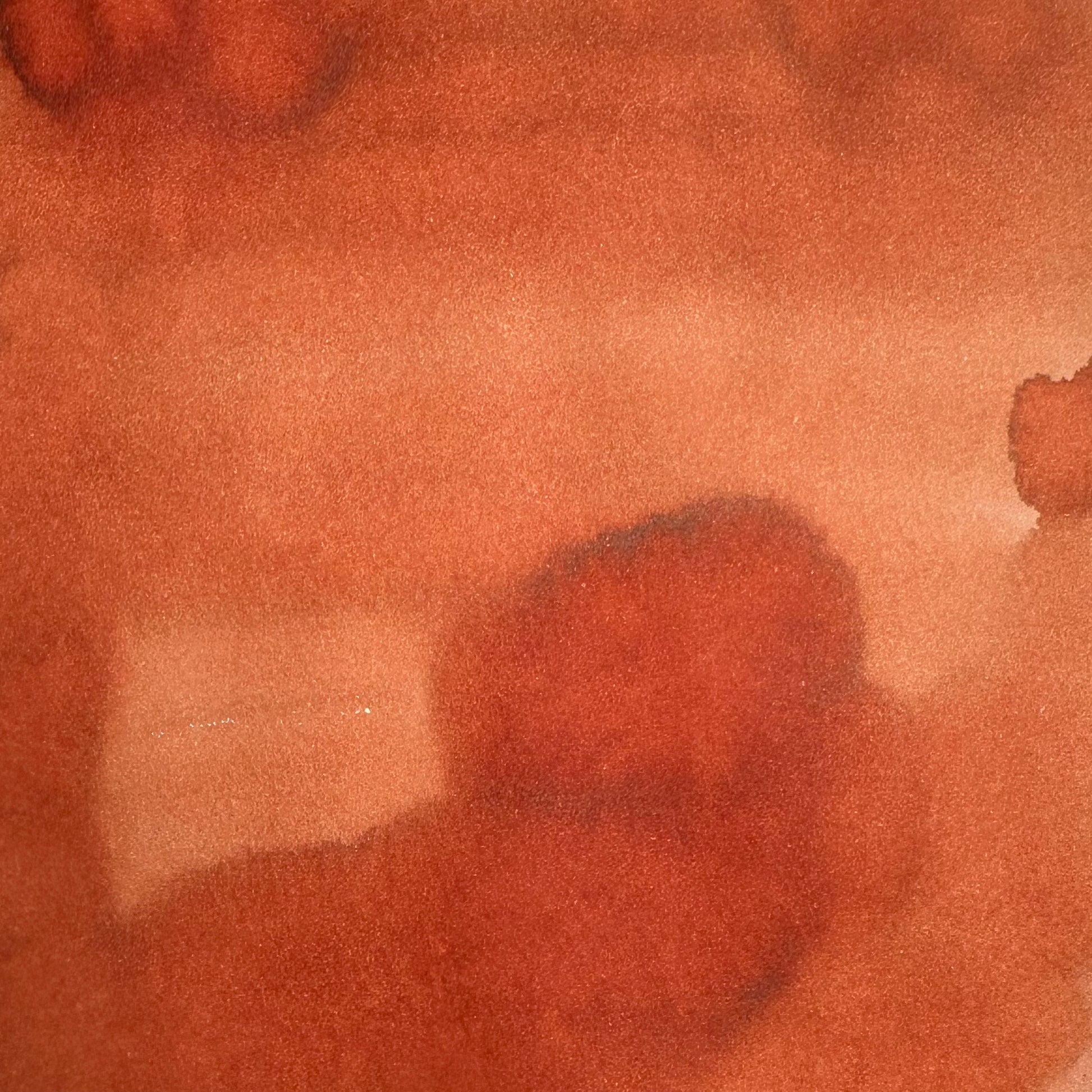 Tinta - Burnt Sienna – ColorSwatch