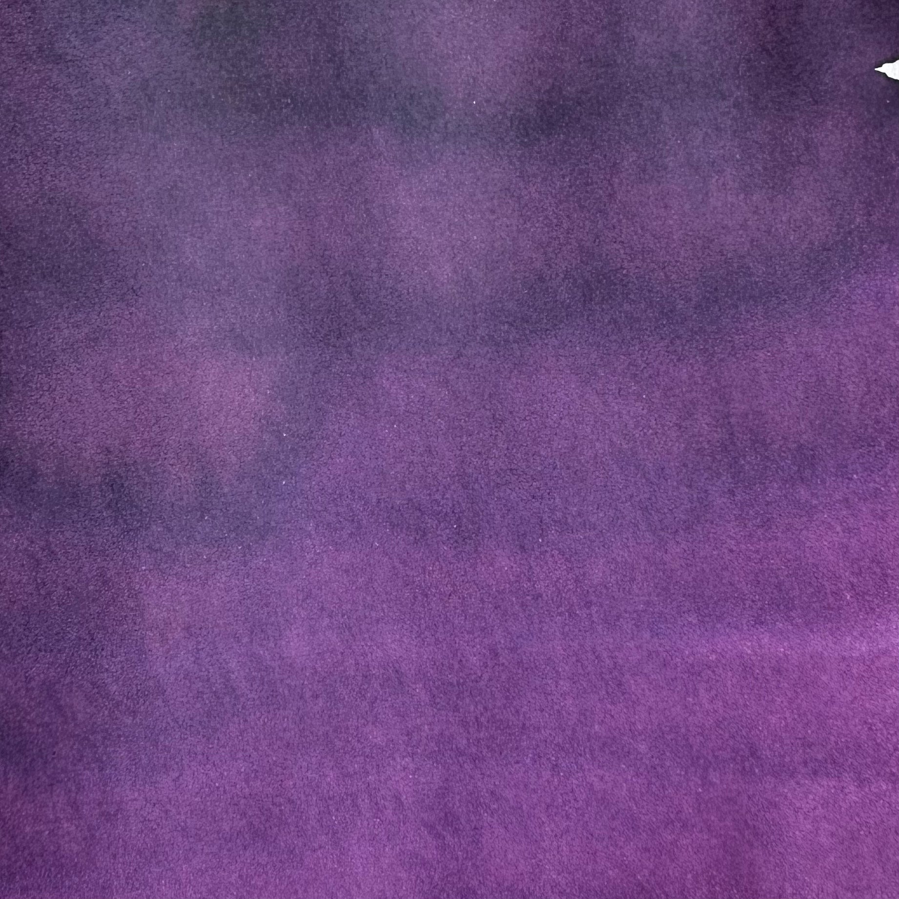 Tinta - Grape – ColorSwatch