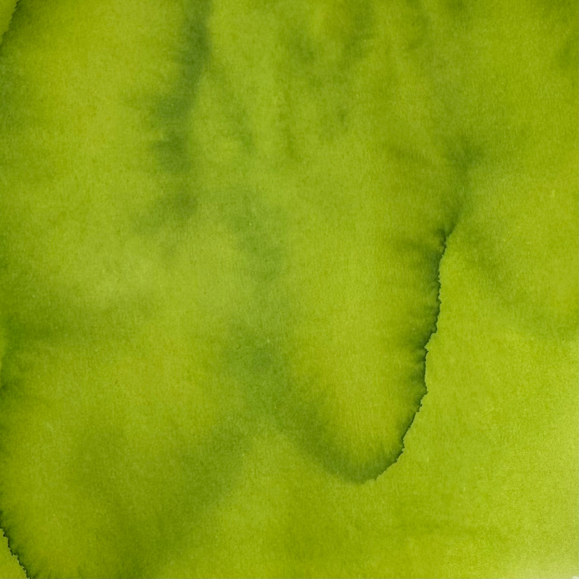 Tinta - Spring Green – ColorSwatch